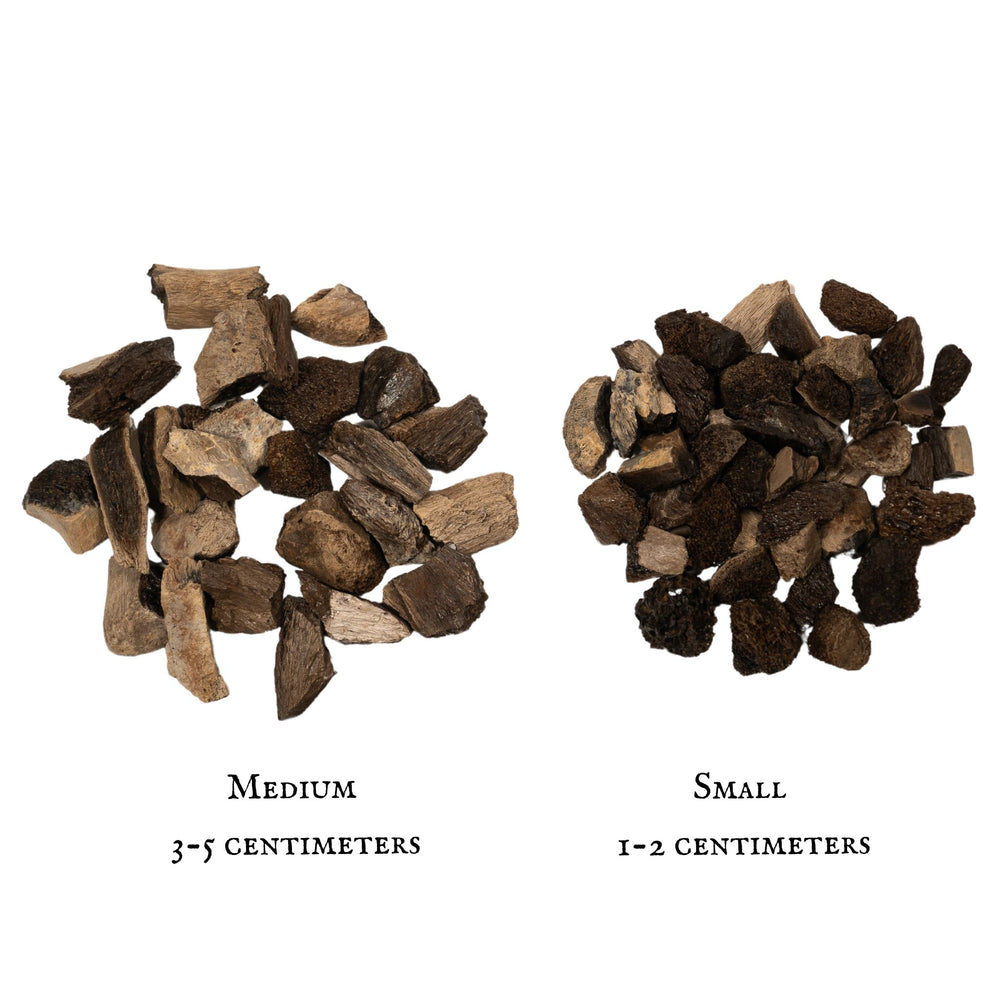 Fossil Hoard - Authentic Fossils, Gems, and Minerals