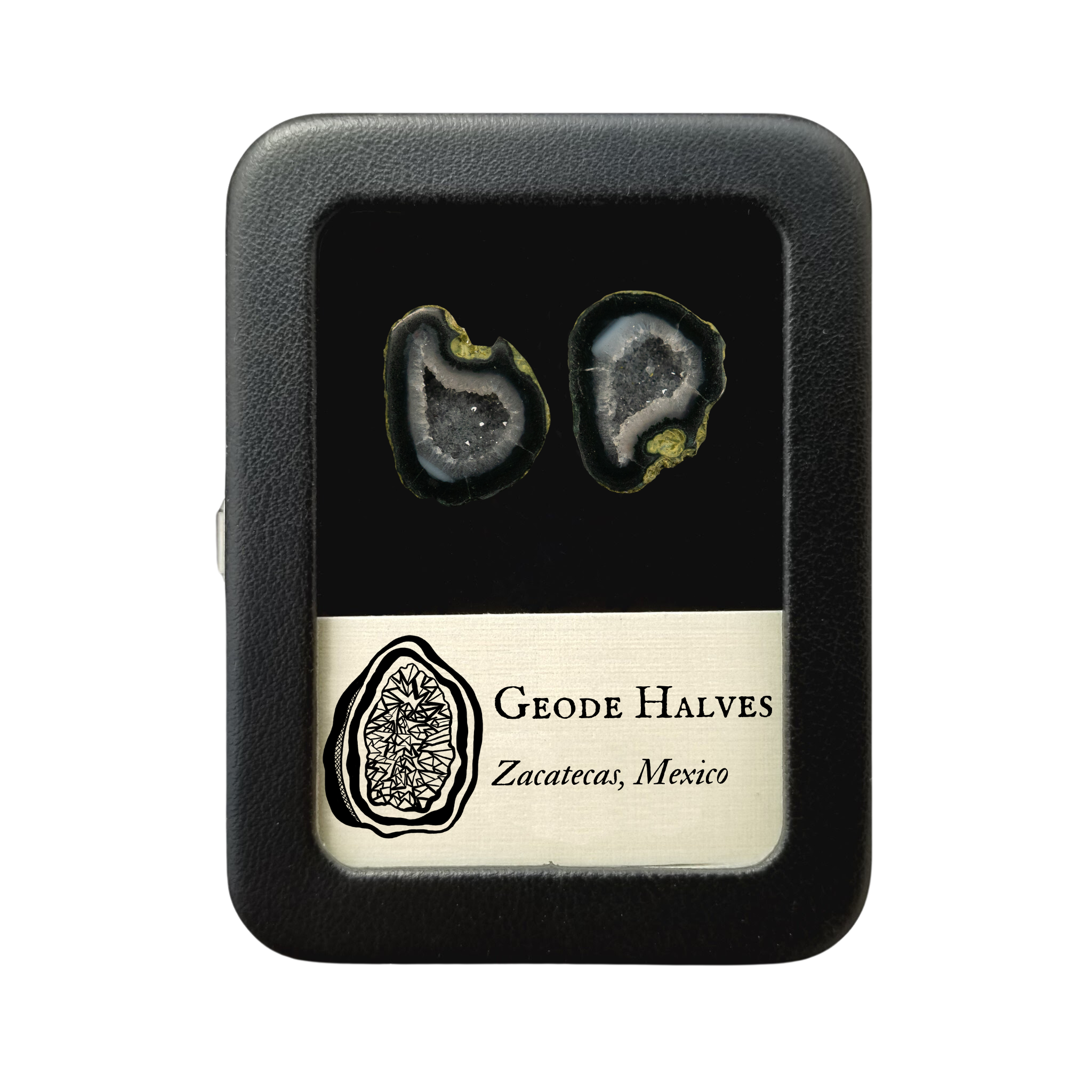 Fossil Hoard - Authentic Fossils, Gems, and Minerals