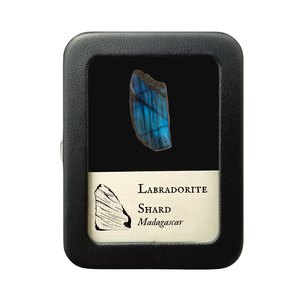 Fossil Hoard - Authentic Fossils, Gems, and Minerals