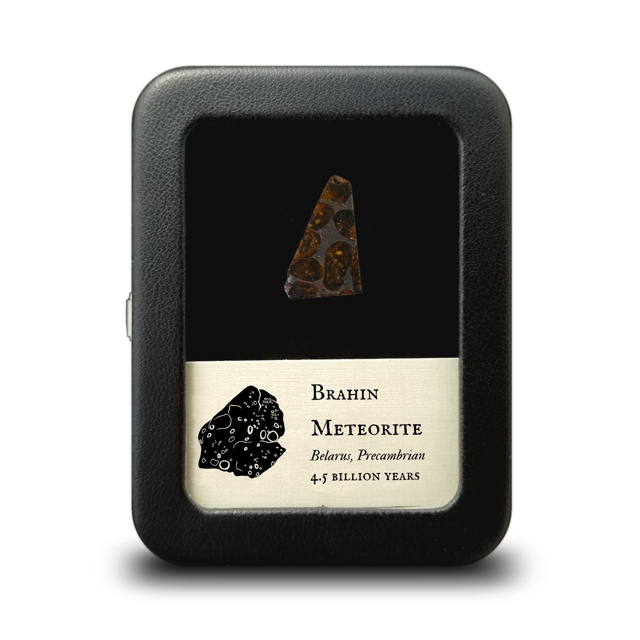 Fossil Hoard - Authentic Fossils, Gems, and Minerals